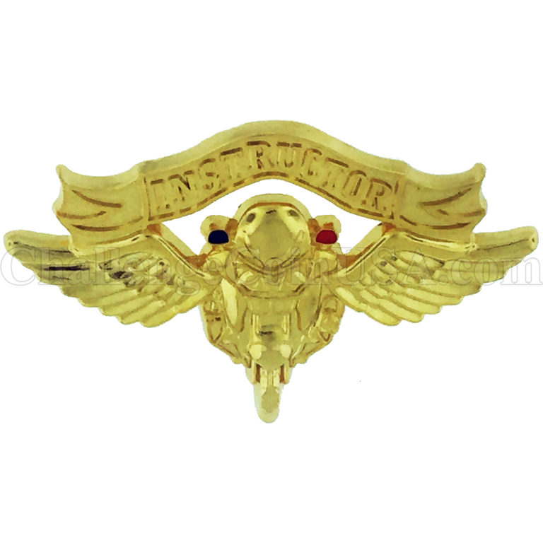 ChallengeCoinUSA Uniform Wing Motor Instructor BMW Gold Pin 2 x 1.2